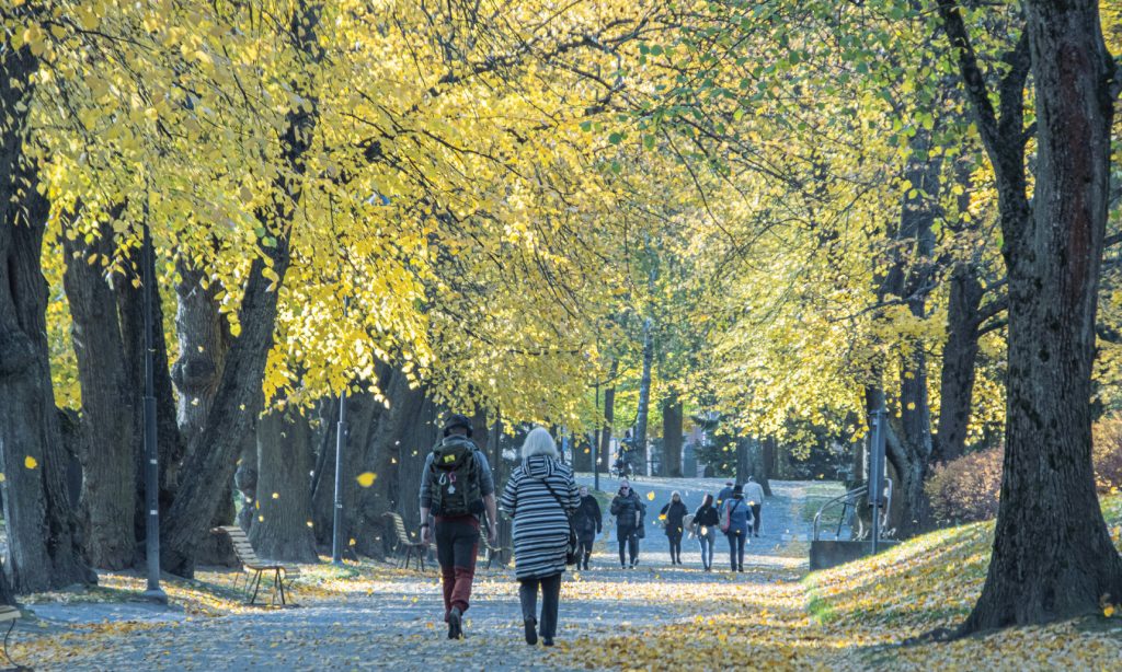 6 mënyra të thjeshta për të forcuar shëndetin tuaj mendor - Pendazzi